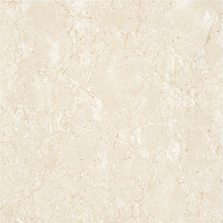 POLO SHINE | Solo Tile Studio